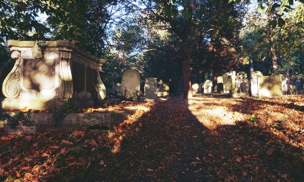 Free Images : cemetery, graveyard, graves, nature, woodland, trees ...