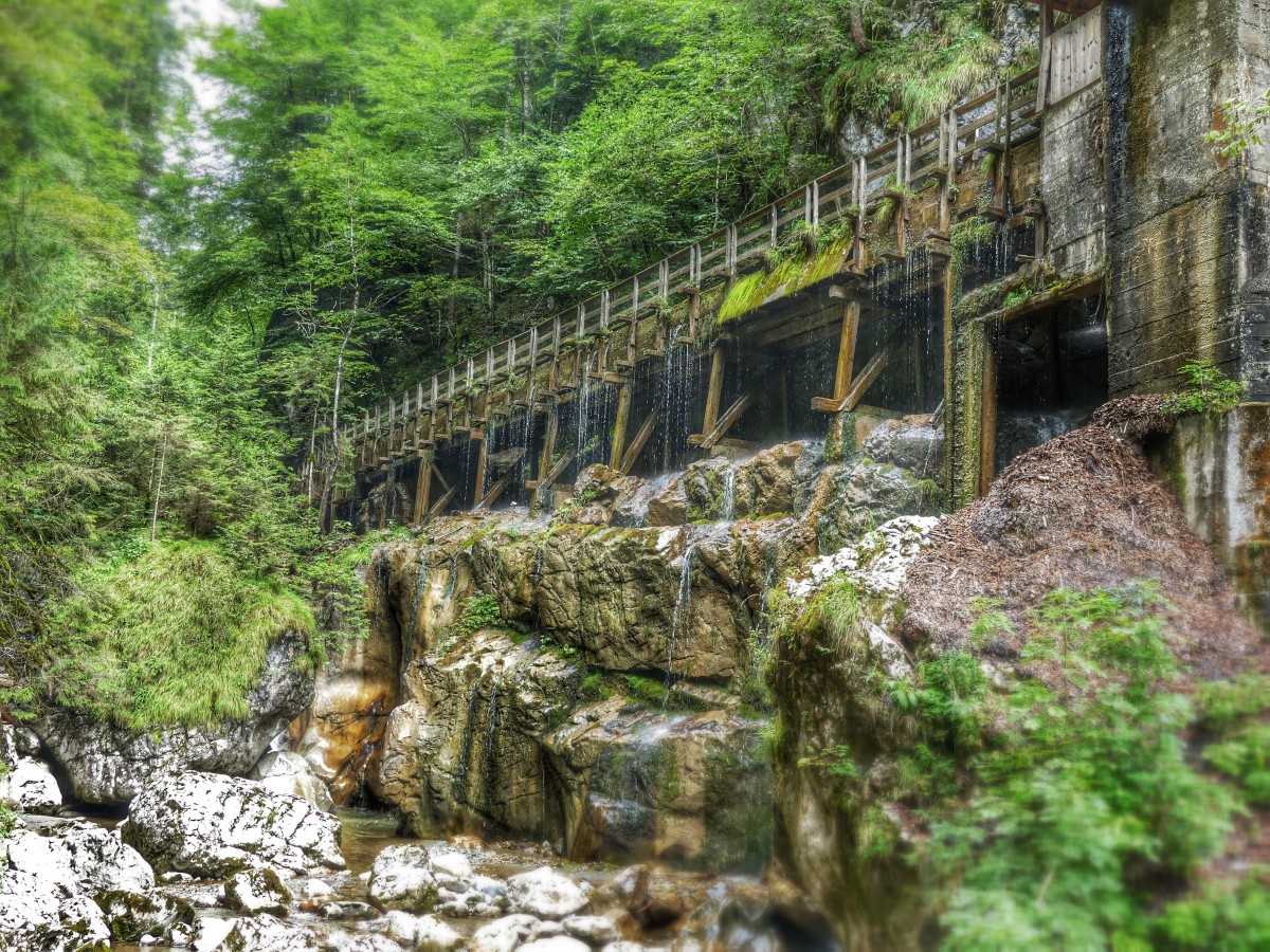 Free Images : nature, forest, waterfall, wood, valley, moss, web, flow ...
