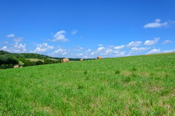 Free Images : landscape, nature, sky, farm, lawn, meadow, prairie, hill ...
