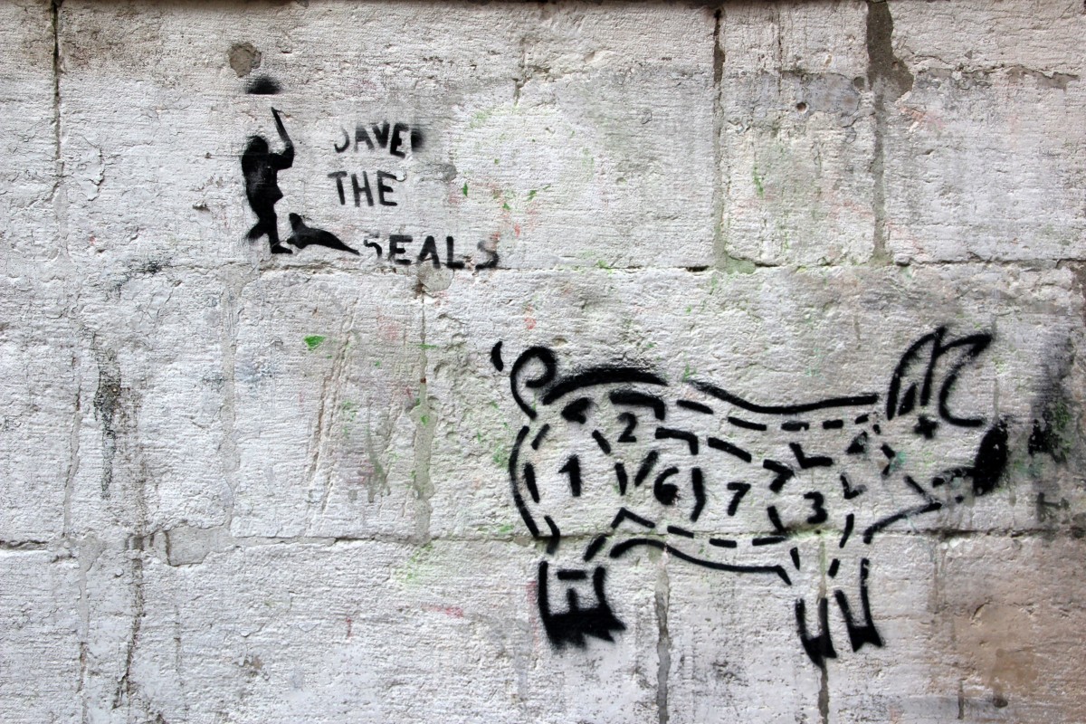 Free Images : wall, graffiti, painting, street art, pig, grafitti ...