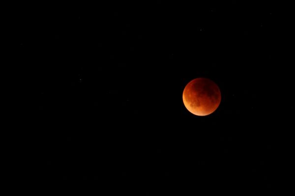 Free Images : super, blue, blood, moon, night, sky, red, space, dark ...
